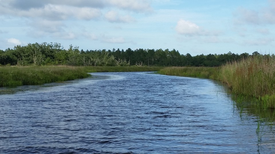 White's Bayou RV Park - Pearlington, MS