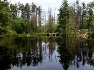 Circle 9 Ranch Family Campground - 10 Photos, 2 Reviews - Epsom, NH