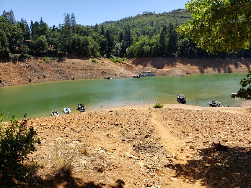 Cattle Camp Campground - - McCloud, CA - RoverPass