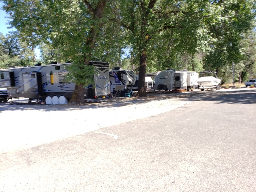 Cattle Camp Campground - - McCloud, CA - RoverPass