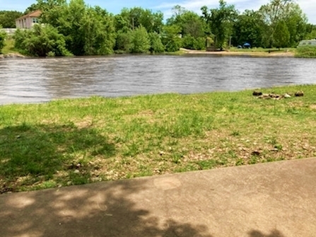 Sugar Island Campground - - Pineville, MO - RoverPass