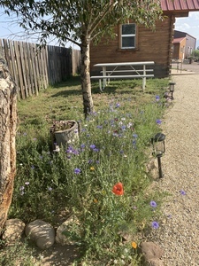 Wet Mountain RV Park & Cabins - 26 Photos, 113 Reviews - Westcliffe,