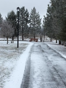 Scenic 6 RV Park - 31 Photos, 111 Reviews - Potlatch, ID - RoverPass