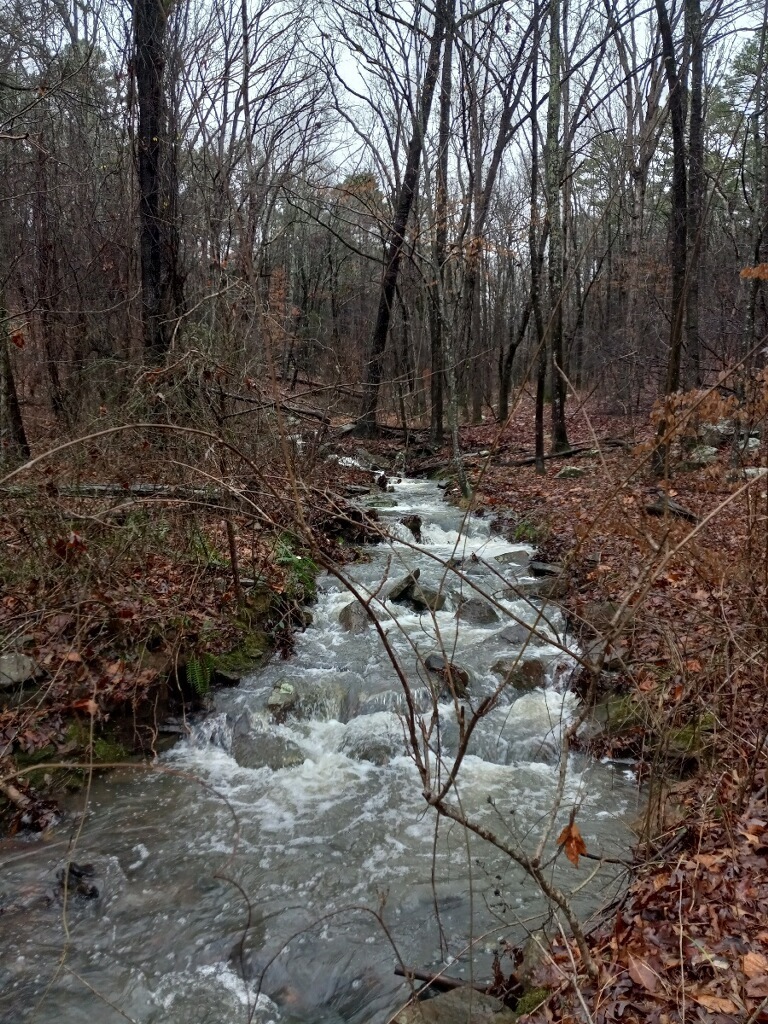 Blue Clouds RV Resort - Edgemont, AR