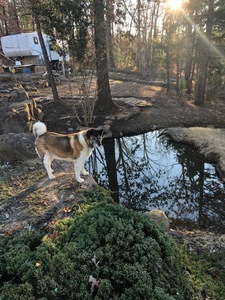 Blue Clouds RV Resort - 34 Photos, 5 Reviews - Edgemont, AR