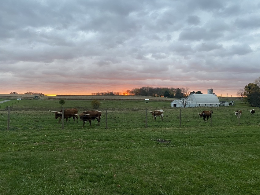 Berlin Heights Holiday Park - - Berlin Heights, OH - RoverPass