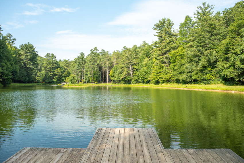 Lake Nelson Campground - 1 Reviews - Lovingston, VA - RoverPass