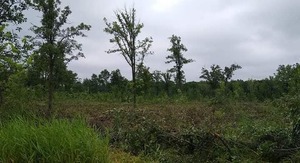 Ringler Family Campground - Brook Park, MN - Brook Park, MN