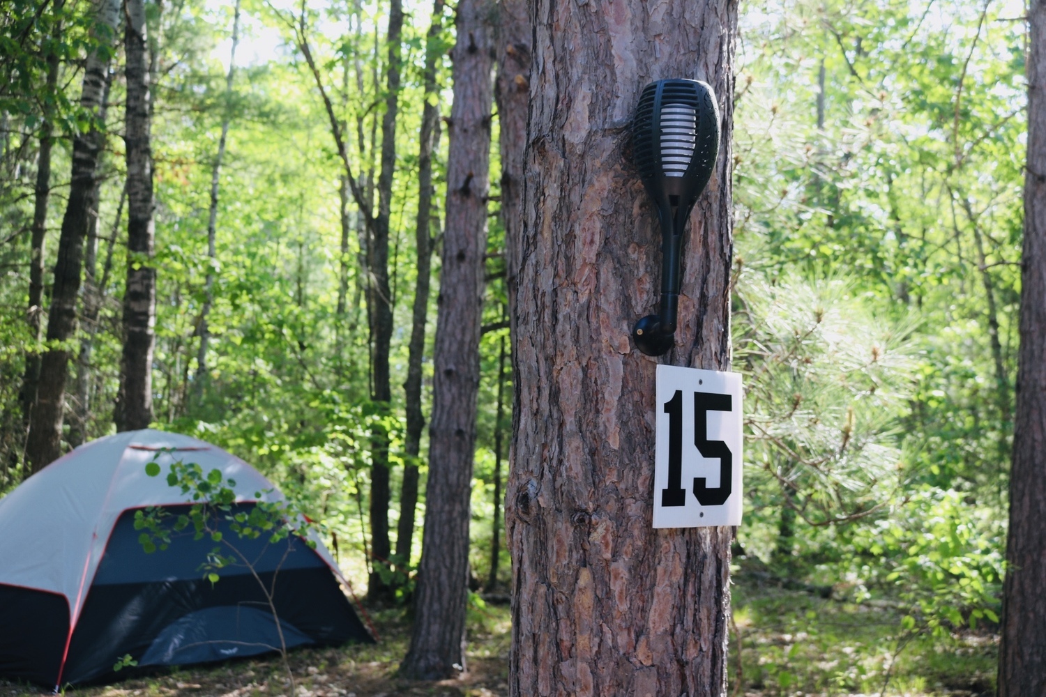 Hankerd's Horseshoe Lake Campground - Frederic, MI