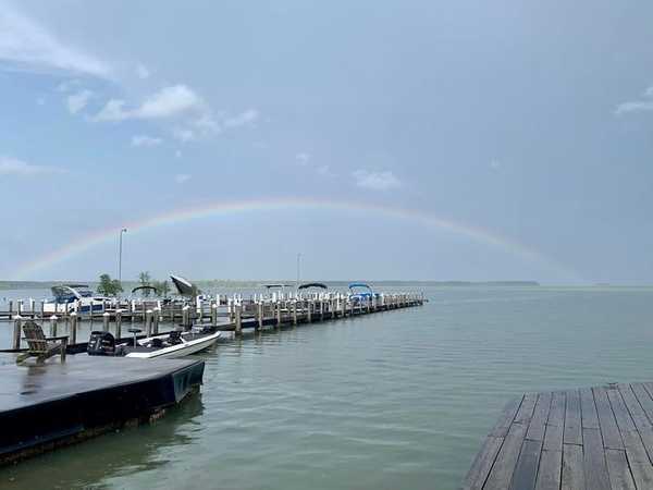 Rocks Pond Campground & Marina - - Eutawville, SC - RoverPass