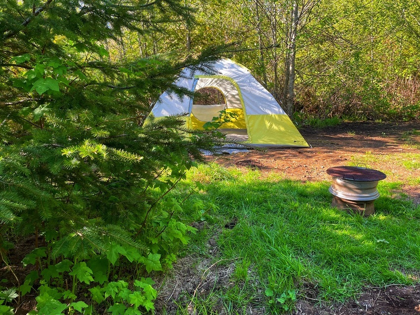 Van Riper's Resort - - Sekiu, WA - RoverPass