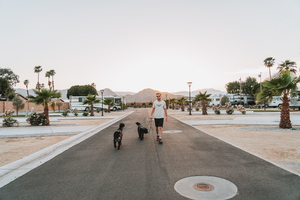 Indian Wells RV Resort - 5 Photos - Indio, CA - RoverPass