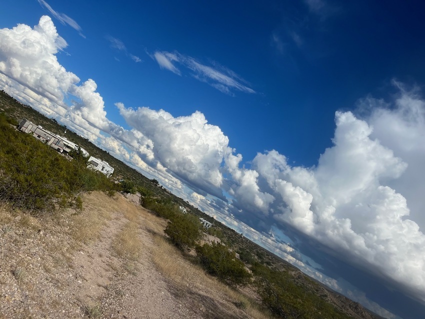 Hatch RV Park - 143 Reviews - Hatch, NM - RoverPass