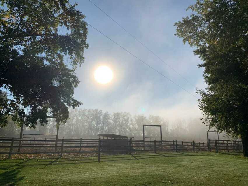 Best 10 Bassano, AB RV Parks & Campgrounds