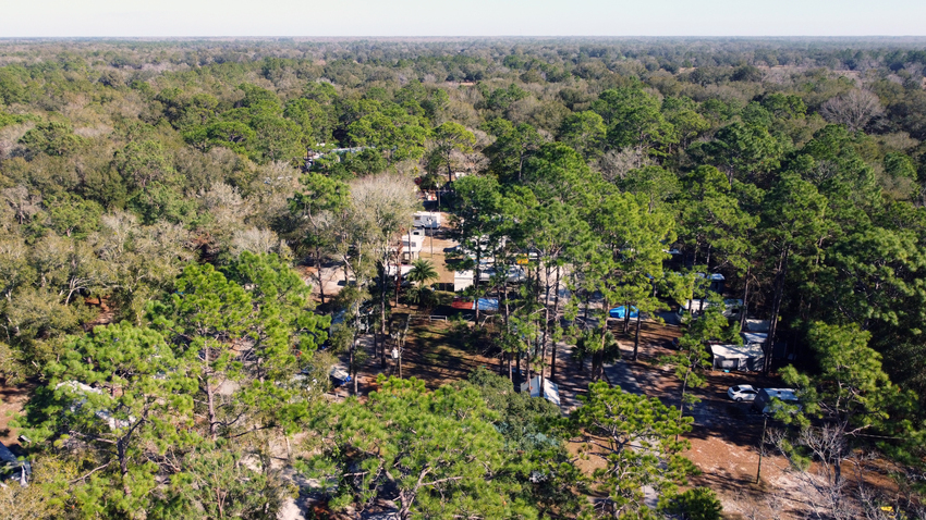 Best 10 Cedar Key, FL RV Parks & Campgrounds