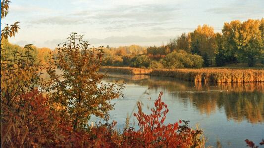 Best 10 Camrose, Alberta RV Parks & Campgrounds | Camrose, Alberta